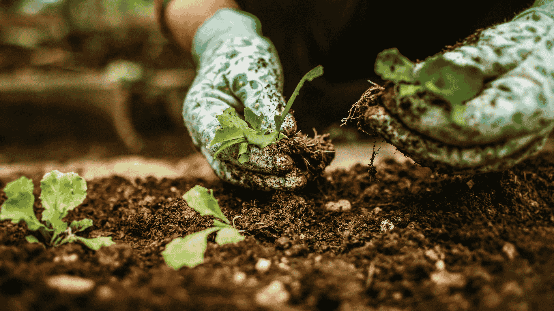 Mulch Work IA - Noori Elite Landscape - (515) 371-0183